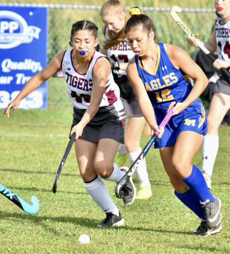 Eagles fly over Tigers in Tri-Valley matchup | News, Sports, Jobs - The ...